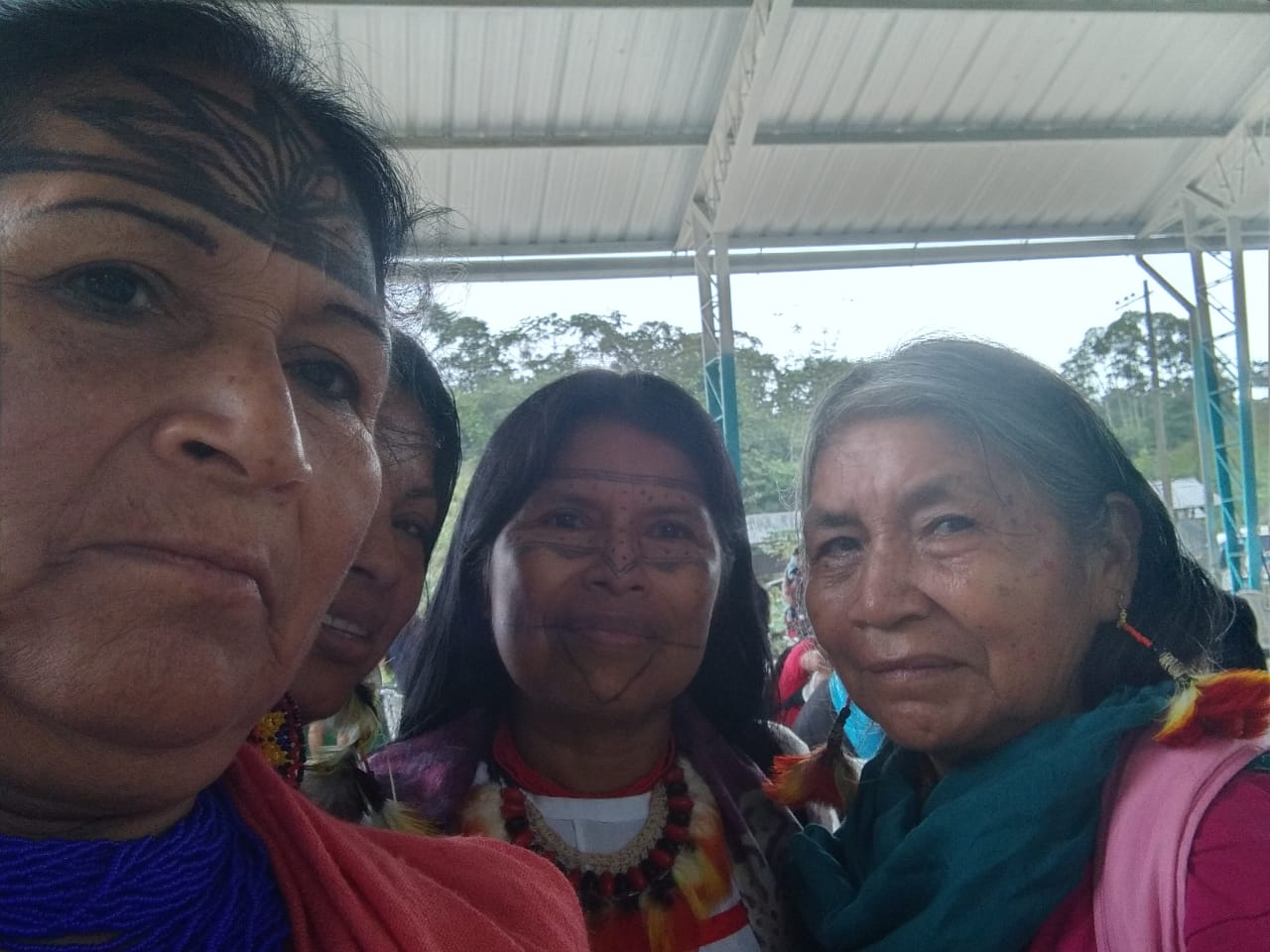 Dejar de tener vergüenza: Mujeres defensoras de la Selva Viviente – ACEER