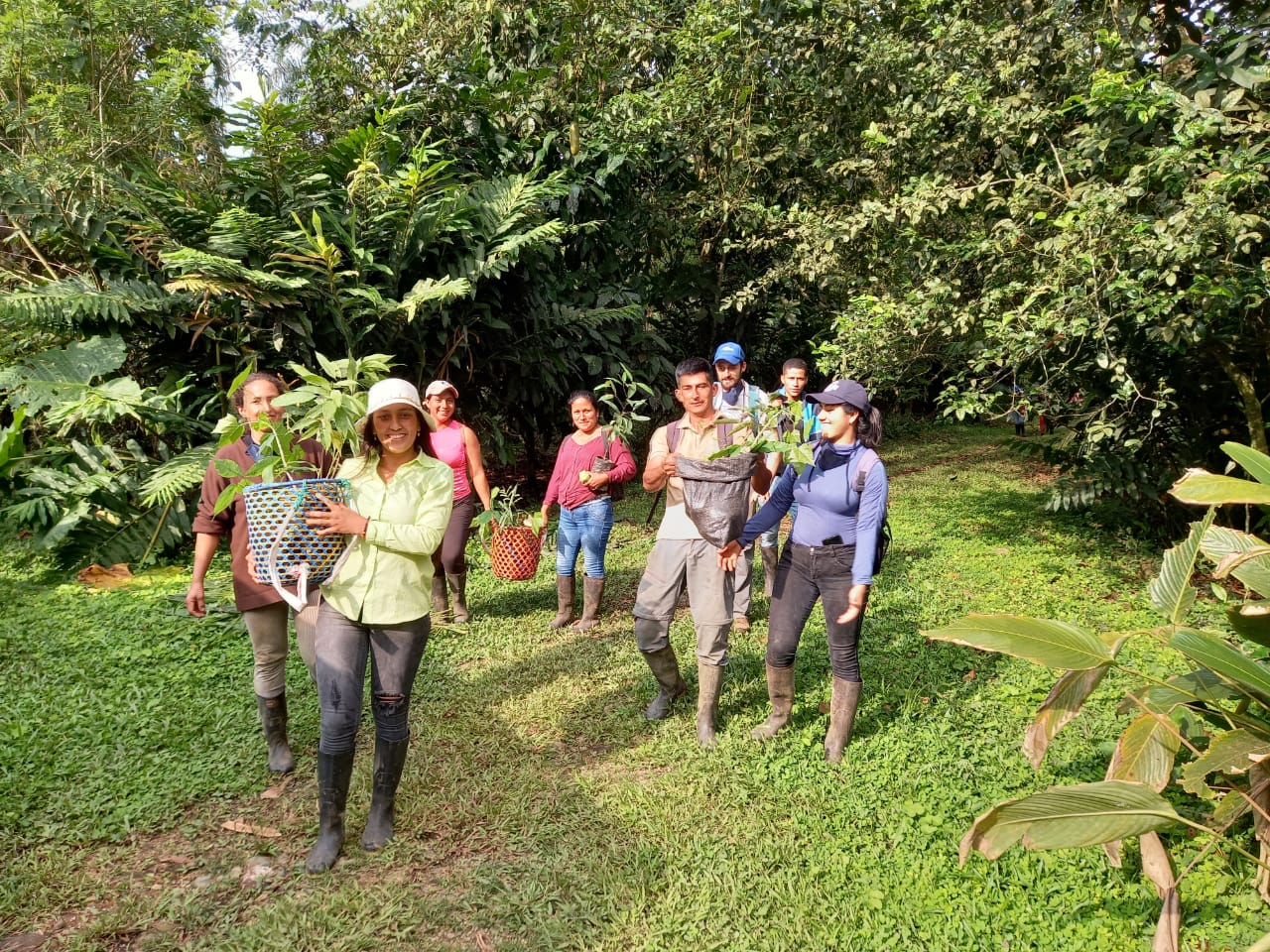Biotiquin – A Project for people’s health, food security and forest ...