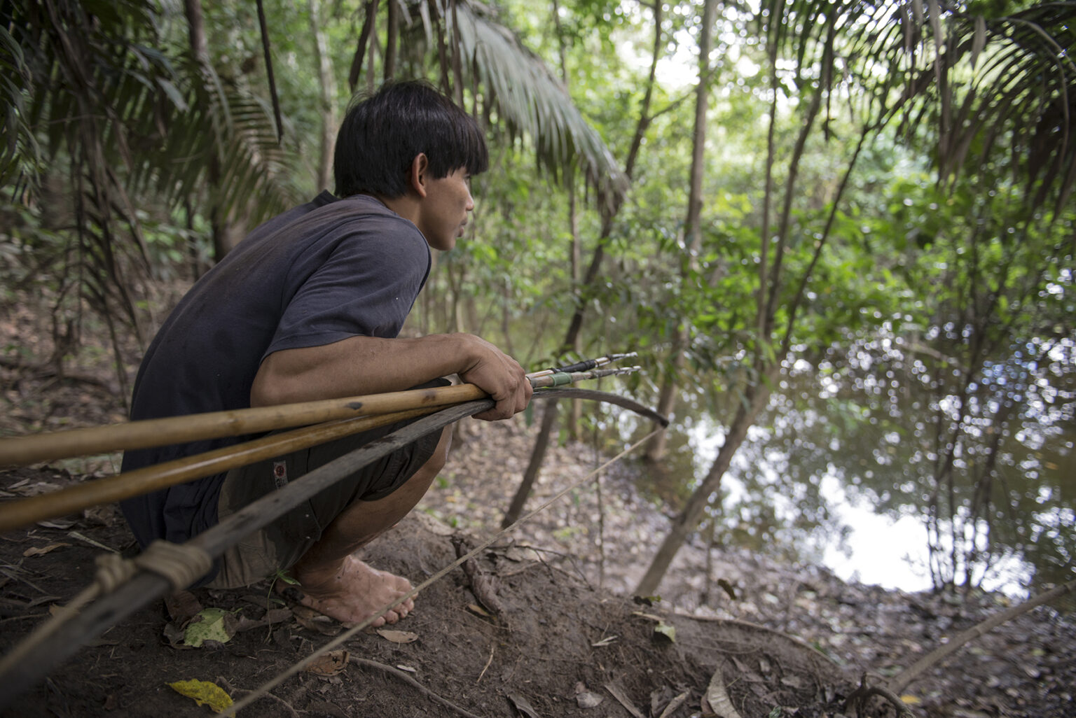 Living with Wildlife: from subsistence hunting to international wildlife trafficking – ACEER