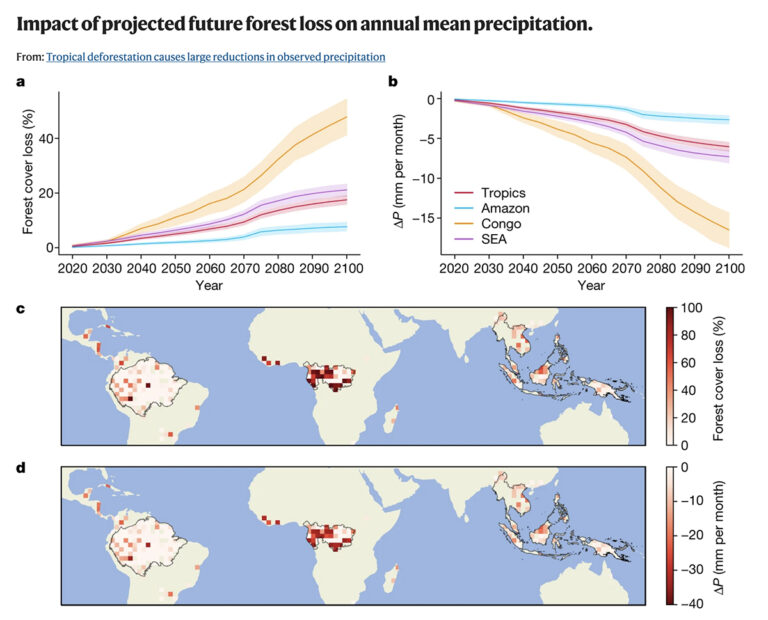 The effects of climate change: from rainforest to savanna – ACEER